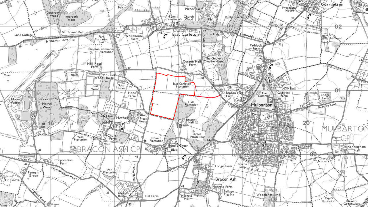 Bracon Ash | Luminous Energy