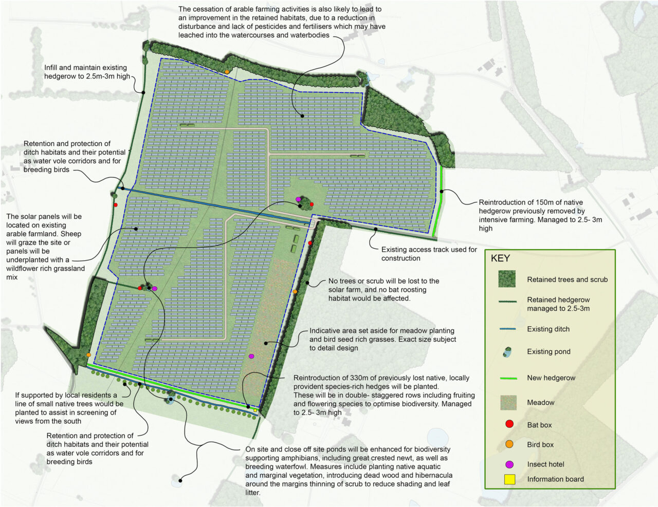 Bracon Ash | Luminous Energy